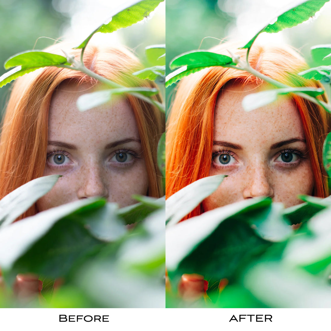 Shop – AI Preset Lab